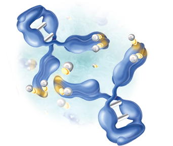 Benefits of Privigen | PRIVIGEN Immune Globulin Intravenous(Human), 10% ...