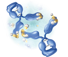 How Privigen Works | PRIVIGEN Immune Globulin Intravenous(Human), 10% ...